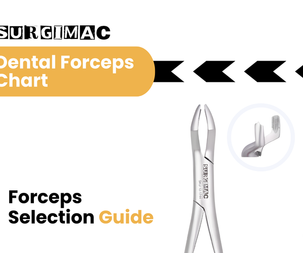 Dental Forceps Chart 101: The Ultimate Guide