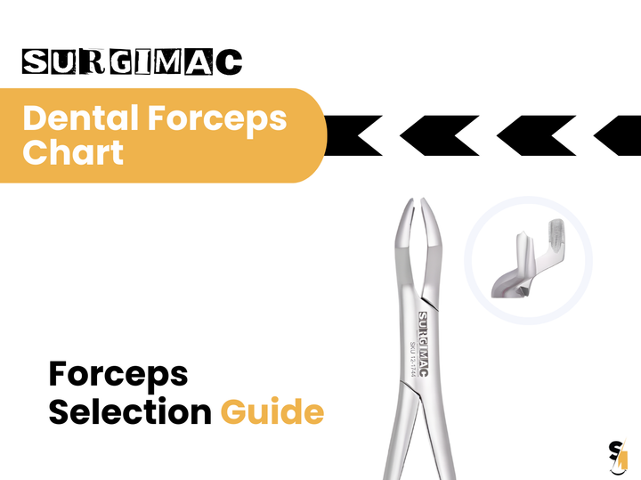 Dental Forceps: A Complete Guide for Pros